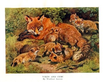 Vintage fox print | Etsy