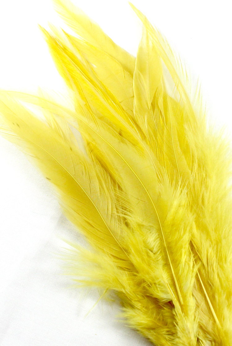 6-8 Inch Yellow Feathers. 10 Gold Bird Feathers for Making
