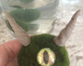 Moss ball pet | Etsy