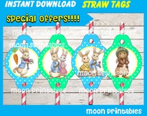 Popular items for peter rabbit party on Etsy