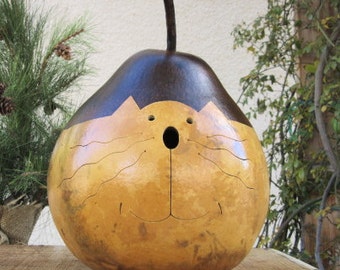 Items similar to Whimsical Gourd Cat on Etsy