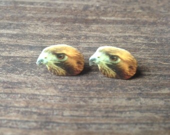 Hawk Linocut Print Falconry Bird Red Tailed Hawk