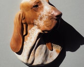 PERITAS the signature of art celebrating dogs. by ARTPERITAS