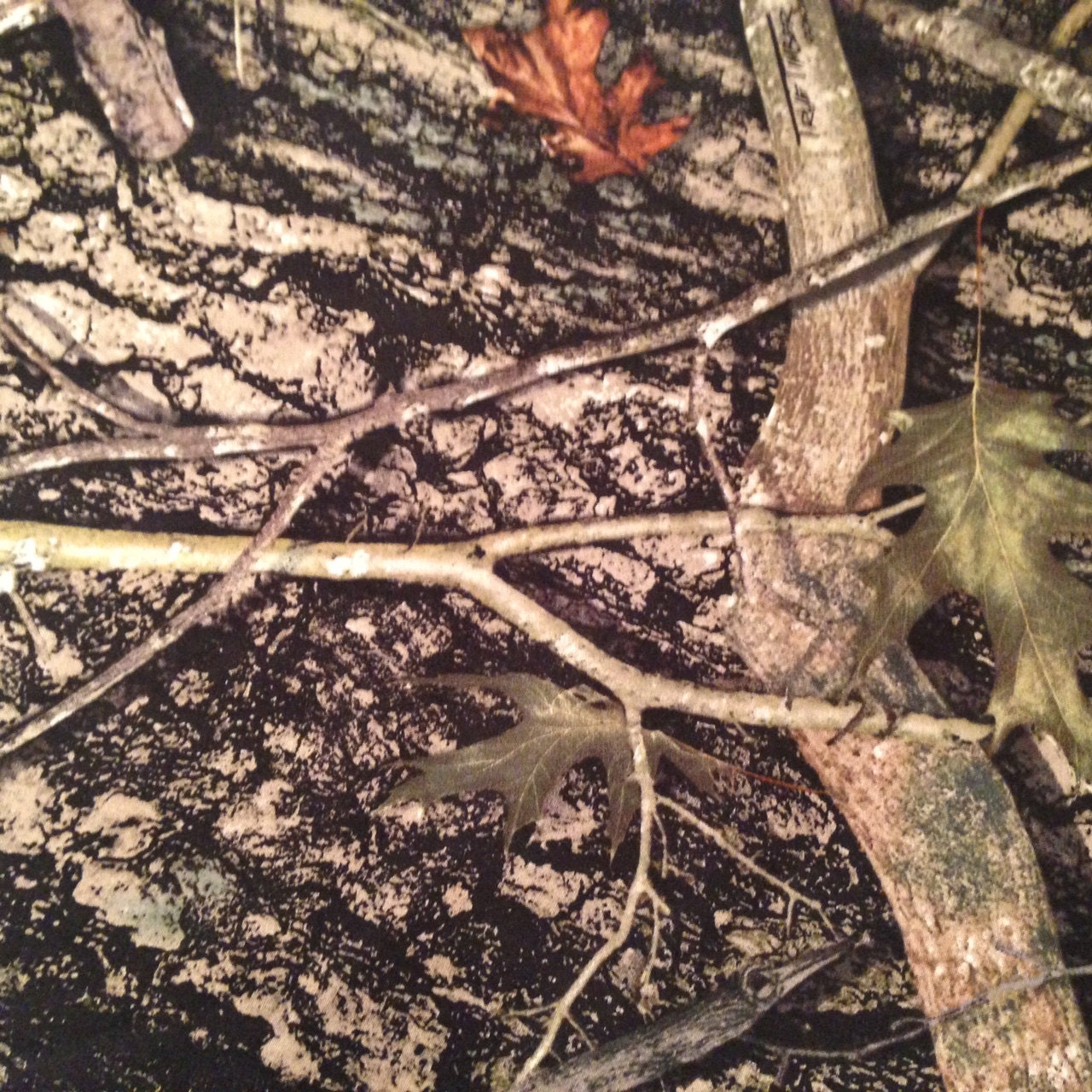 True Timber New Conceal fabric by the yard True Timber camo