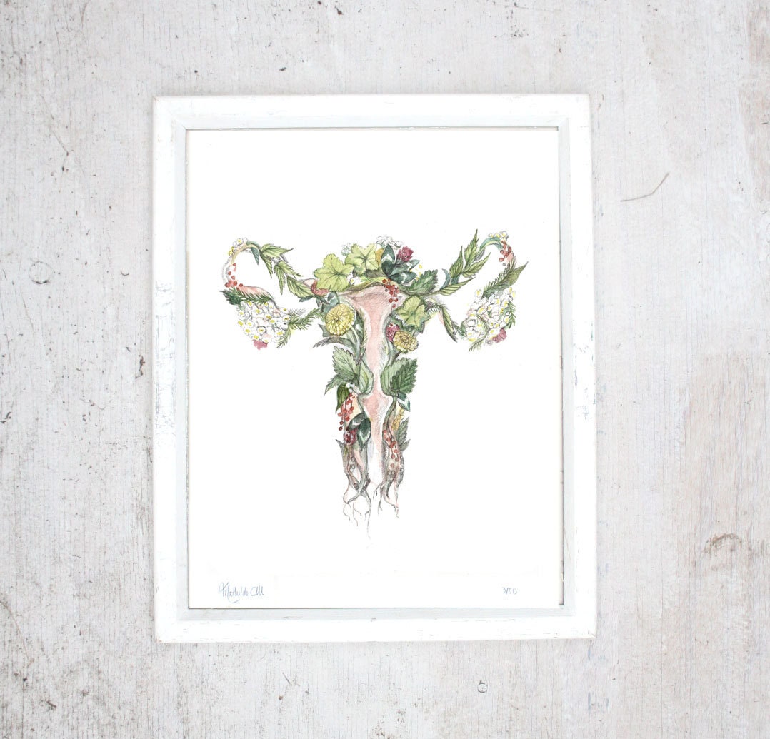 Print Uterus Poster Ovaries Vagina Vulva Flowers
