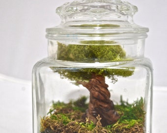 Tree terrarium miniature landscape terrarium Tree by UniqueLeeArt