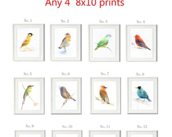 Unique bird painting set related items | Etsy