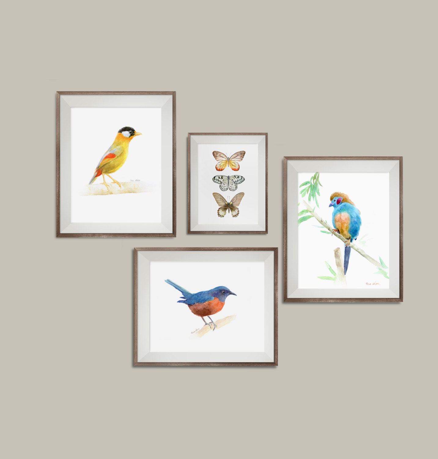 Bird Wall Art Decor Set Of 4 Prints Bird Art Print Set