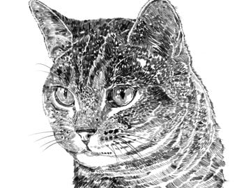 Cat Art Print Pen and ink Art Cat illustration Collage Art