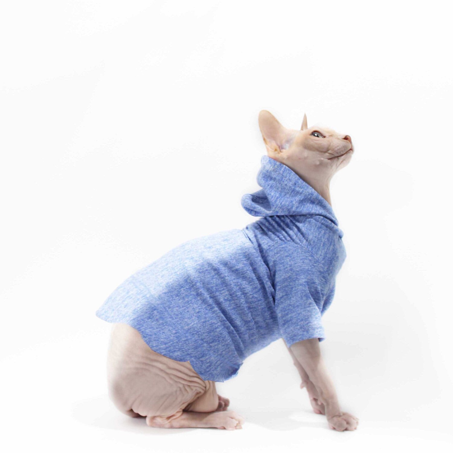 Cat Dress Sphynx Cat Sun Protection SunScreen by SimplySphynx