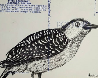 Mr. Hooper Pop Surrealist Art by mrhooper on Etsy