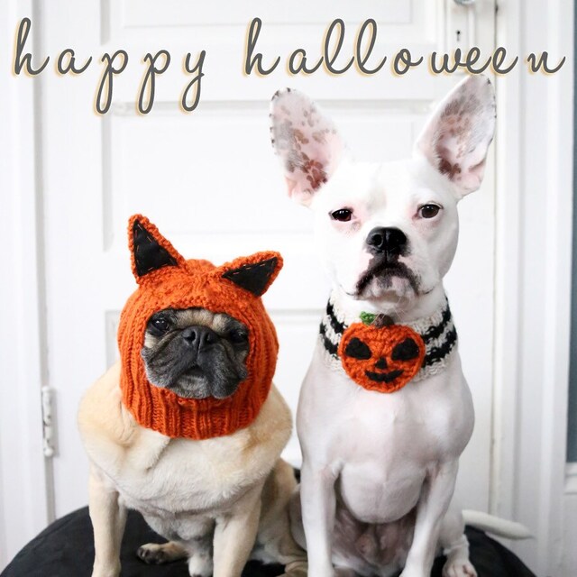 All You Need is Pug: Dog Hats Pug Hats and by AllYouNeedIsPugShop