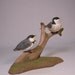 Splendid Grass Parakeet Wooden carved Bird Carving by jjstudio