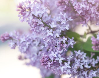 Embroidered Ukrainian Spring Lilacs in a Vase