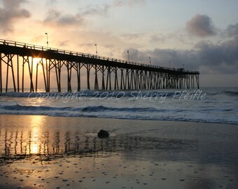 Large sunrise shell | Etsy