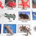 Montessori Ocean Animal Match Miniature Animals with