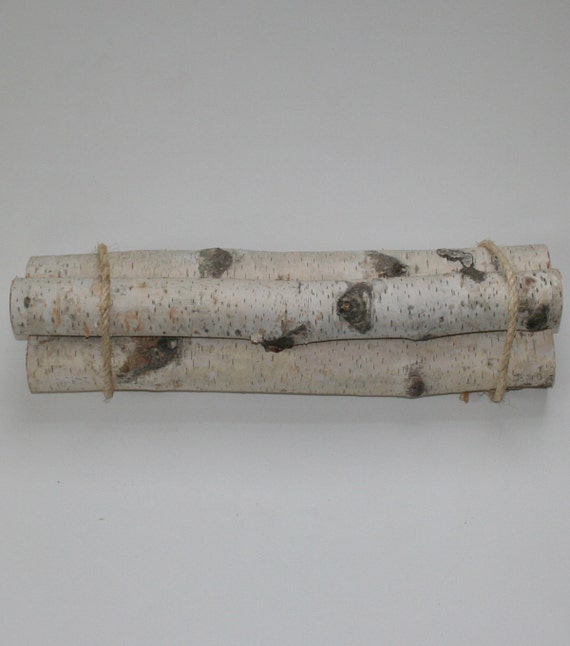 Roped Bundle of Birch Logs: 1.5 2.5 diameter x