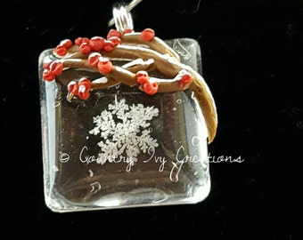 Real Preserved Snowflake Jewelry & more.... by CountryIvyCreations