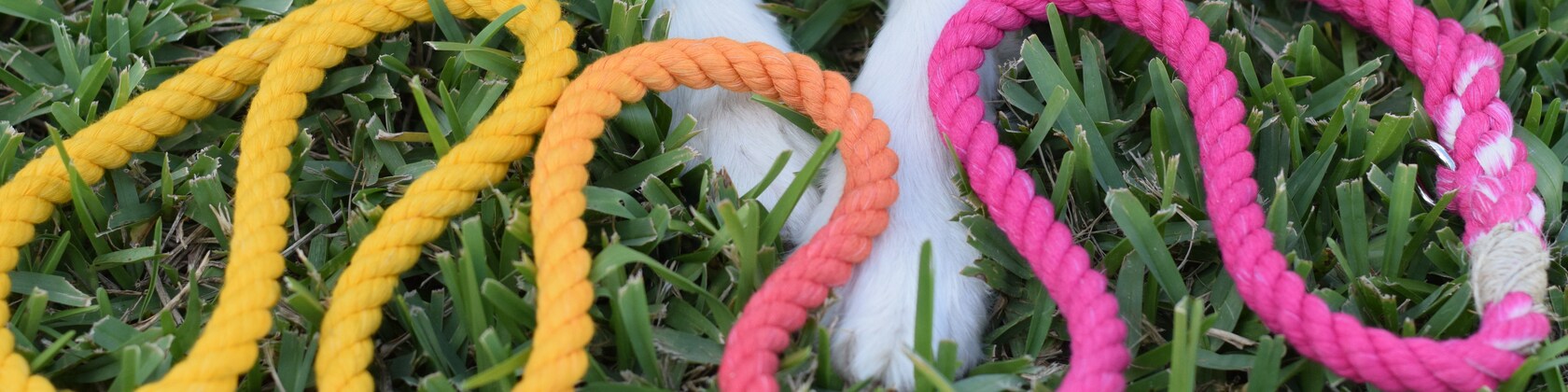 Custom Soft Rope Dog Leashes Collars & by GreenTroutOutfitters