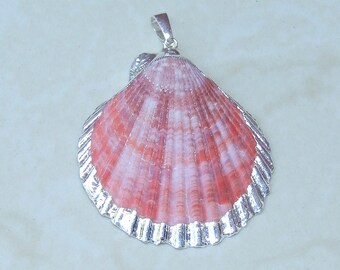 Gold Plated Sea Shell Natural Sea Shell by EDGBeadsandGems