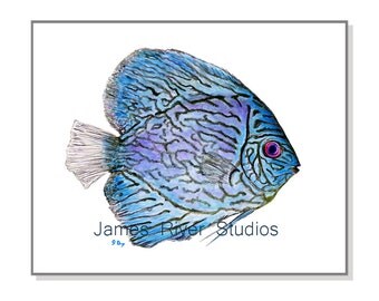 Tropical Fish Art Fish Painting Fish Print. by JamesRiverStudios