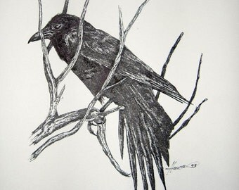 Blackbird drawing | Etsy