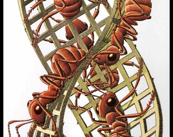 Mc escher | Etsy