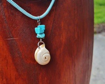 Moon snail | Etsy