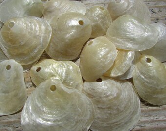 Jingle shells | Etsy