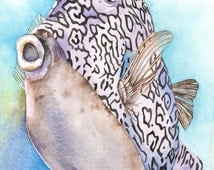 Unique cowfish related items | Etsy