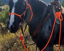 Popular items for blaze on Etsy