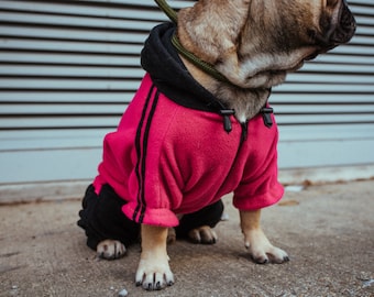 Dog tracksuit | Etsy