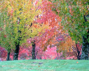 Items similar to Autumn landscape photography art print - Yellow fall ...