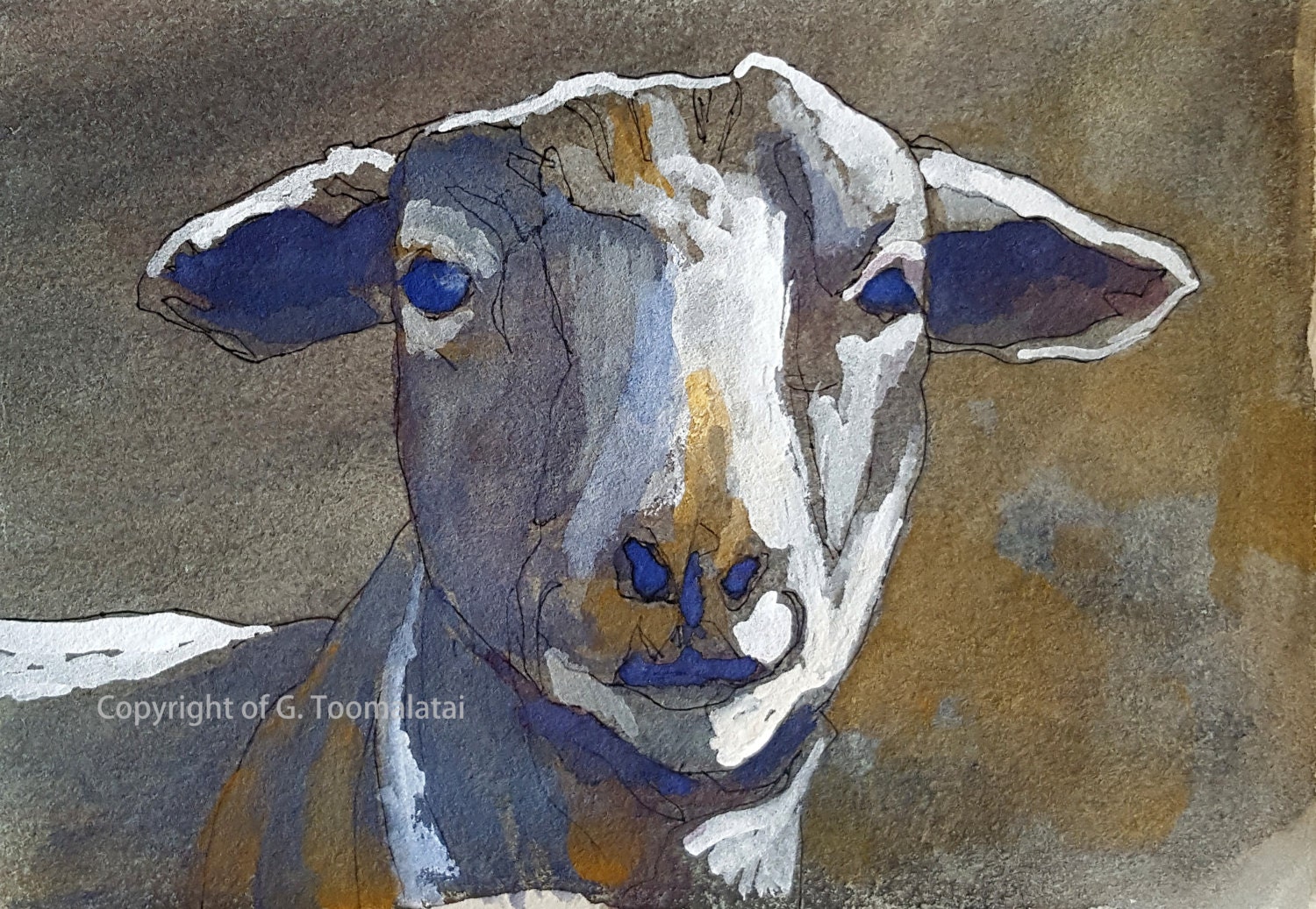 Lamb Print 8.5 x 11 paper size lamb pen and ink drawing lamb