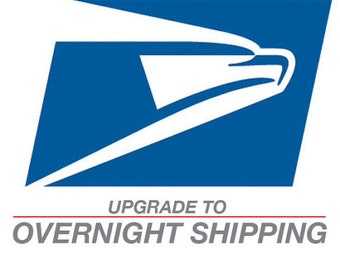 FedEx Standard Overnight Upgrade