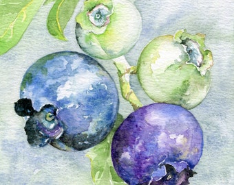 Blueberry painting | Etsy