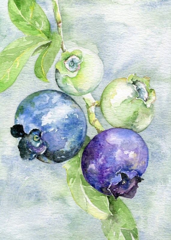Blueberry art print watercolour painting kitchen decor