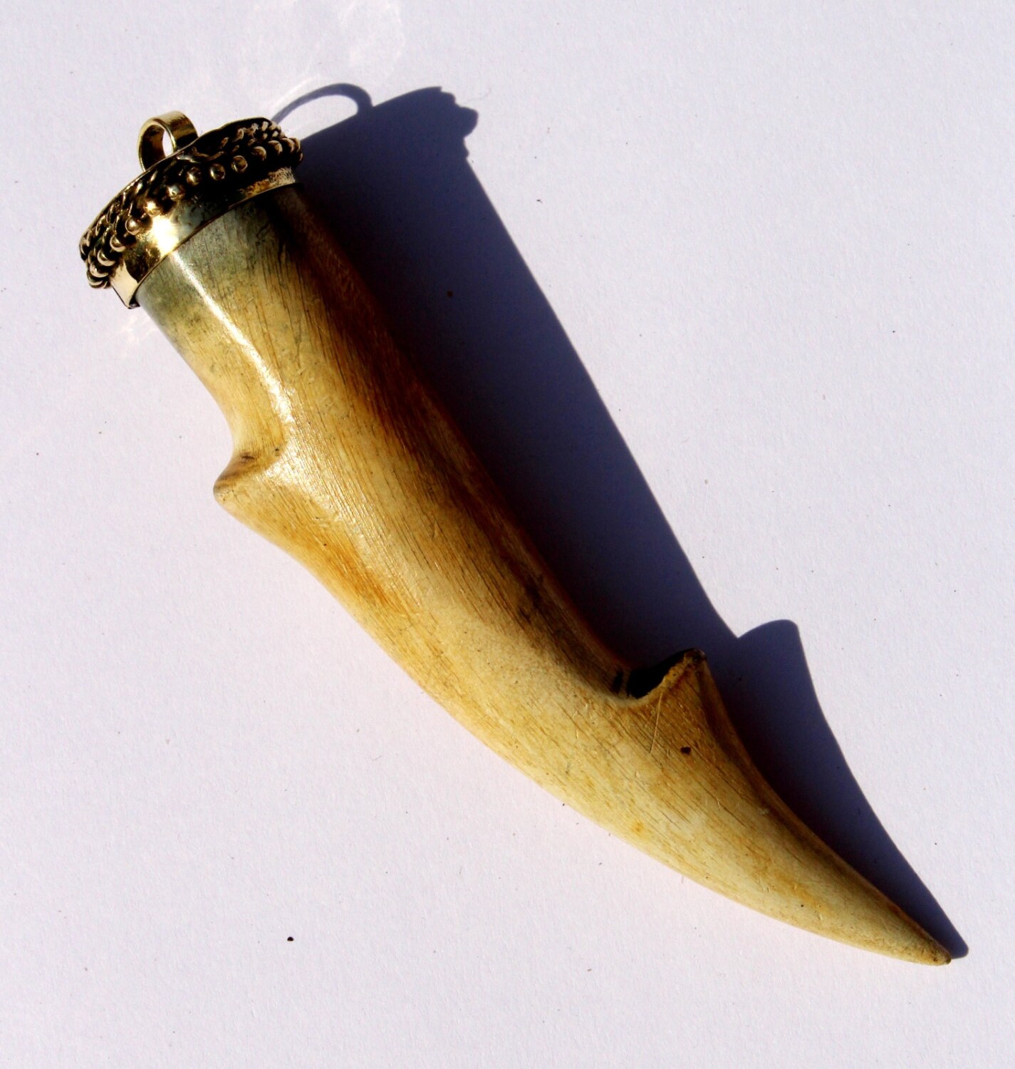 1 pc 92x21 mm Cream Bone Tusk Horn Pendant / Bone Tusk tooth