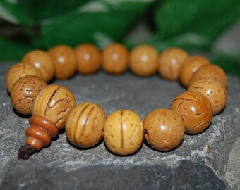 Bodhi tree seeds | Etsy