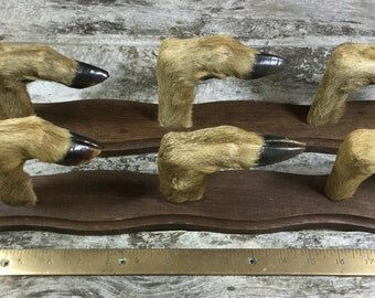 Deer hooves | Etsy