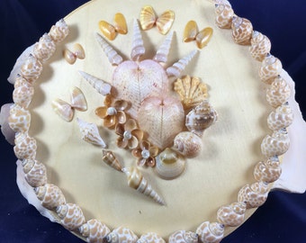 Unique Handcrafted shell art by Treasuresofmermaids on Etsy