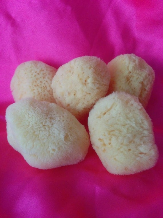 5 Sea Sponge Tampon Menstrual Sponge Reusable Eco Friendly