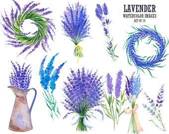 Lavender clip art | Etsy