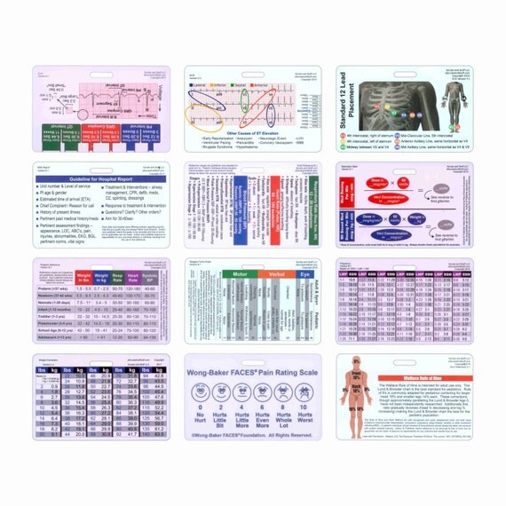 Complete EMS Horizontal Badge Card Set 12 Cards for ID