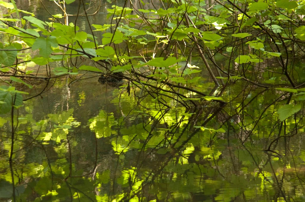 Peaceful Art River Decor