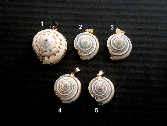 Shell Necklace Shell Pendant Gold Edged Shell Neсklace Shell