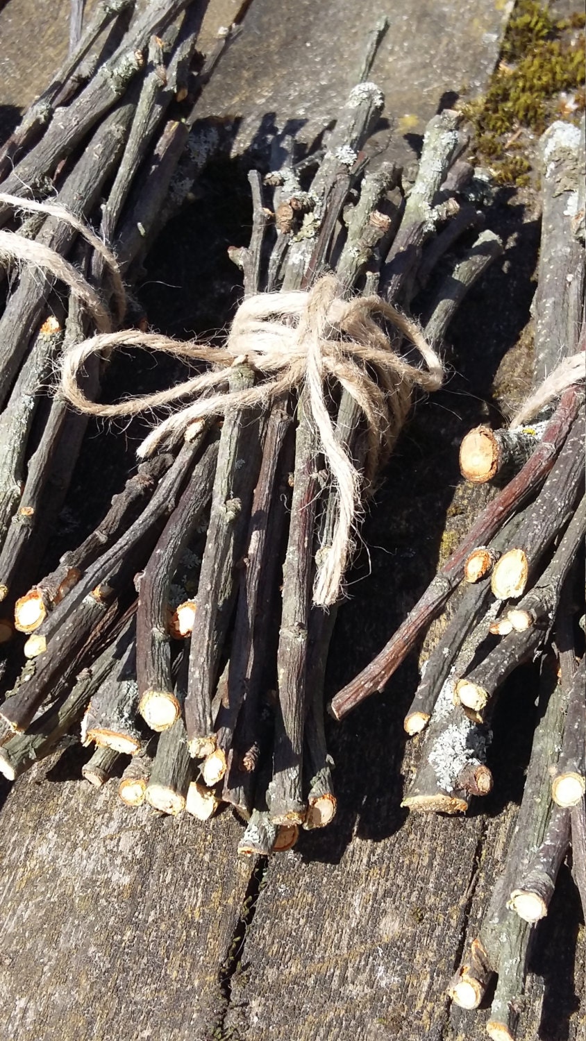wooden sticks apple tree twigs bundle natural branches small