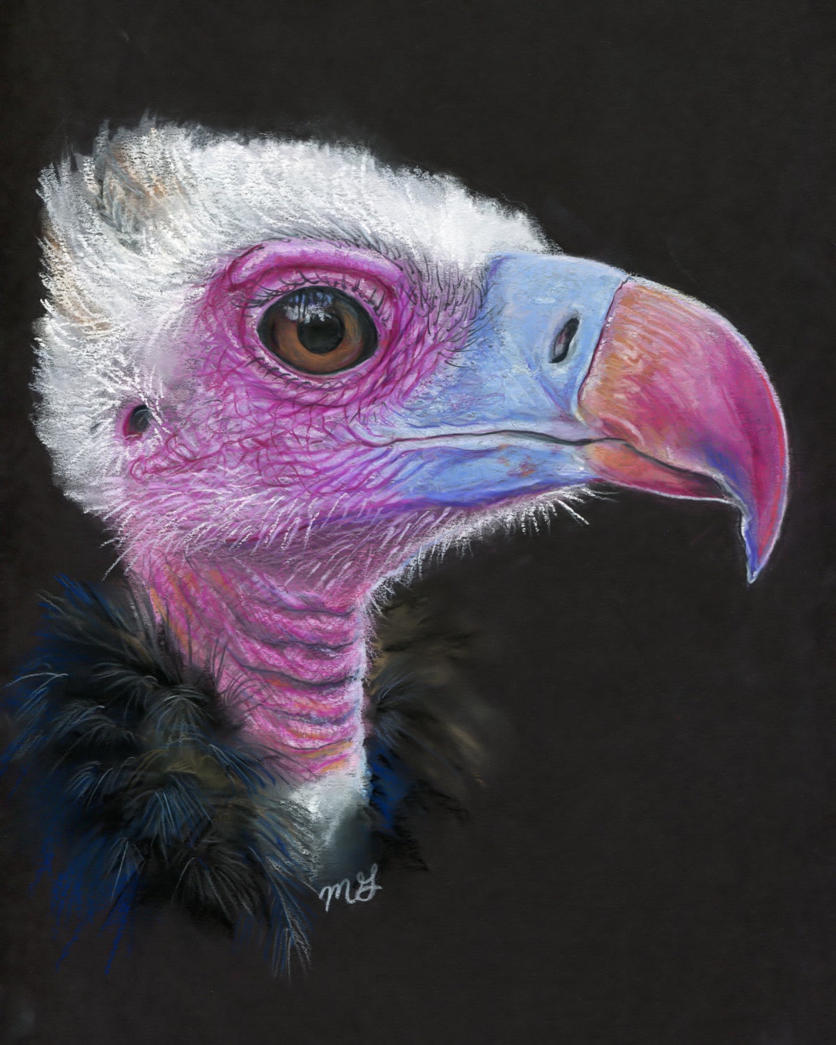 Vulture Original Drawing