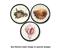 Unique sea shell knobs related items | Etsy