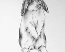 Popular items for lop eared bunny on Etsy
